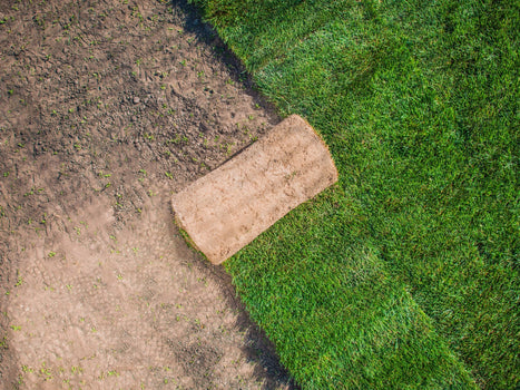 TillersTurf - High Quality Cultivated Garden Lawn Turf. – The Landscape ...