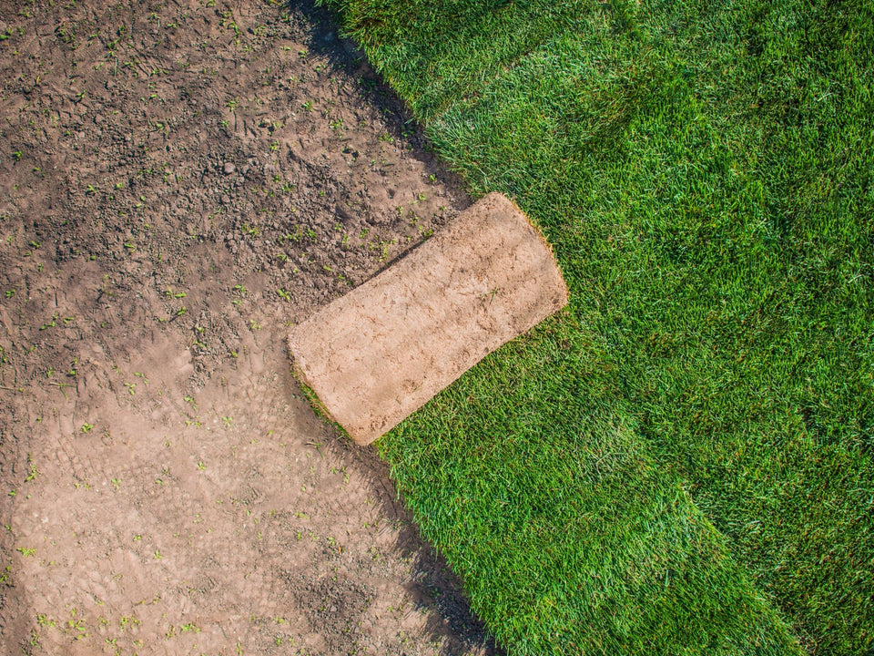 TillersTurf - High Quality Cultivated Garden Lawn Turf. – The Landscape ...